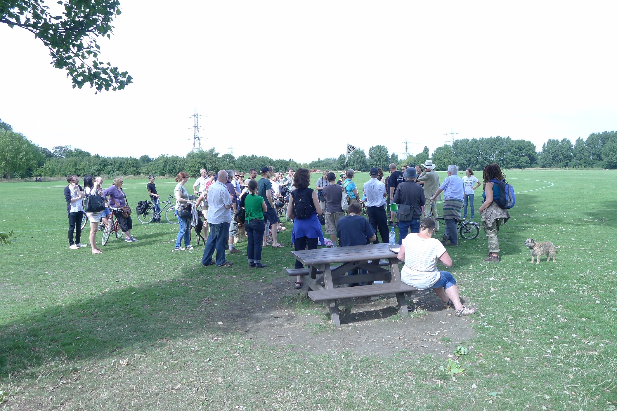 Hackney Marshes – wild walk | Save Lea Marshes